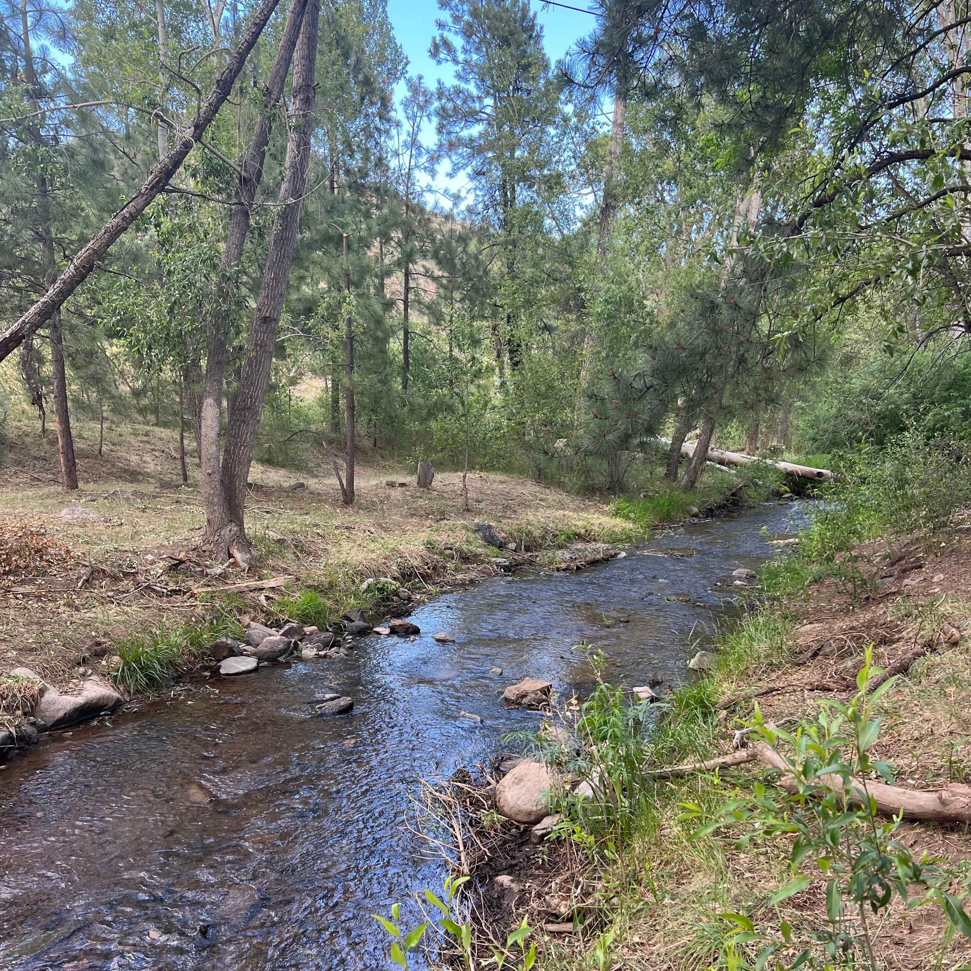 Bonito Hollow RV Park & Campground | Ruidoso, New Mexico