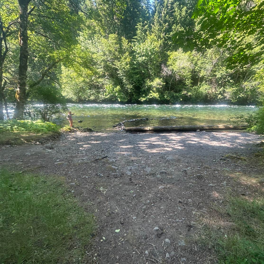 Paradise In Oregon Camping | Mckenzie Bridge, Oregon