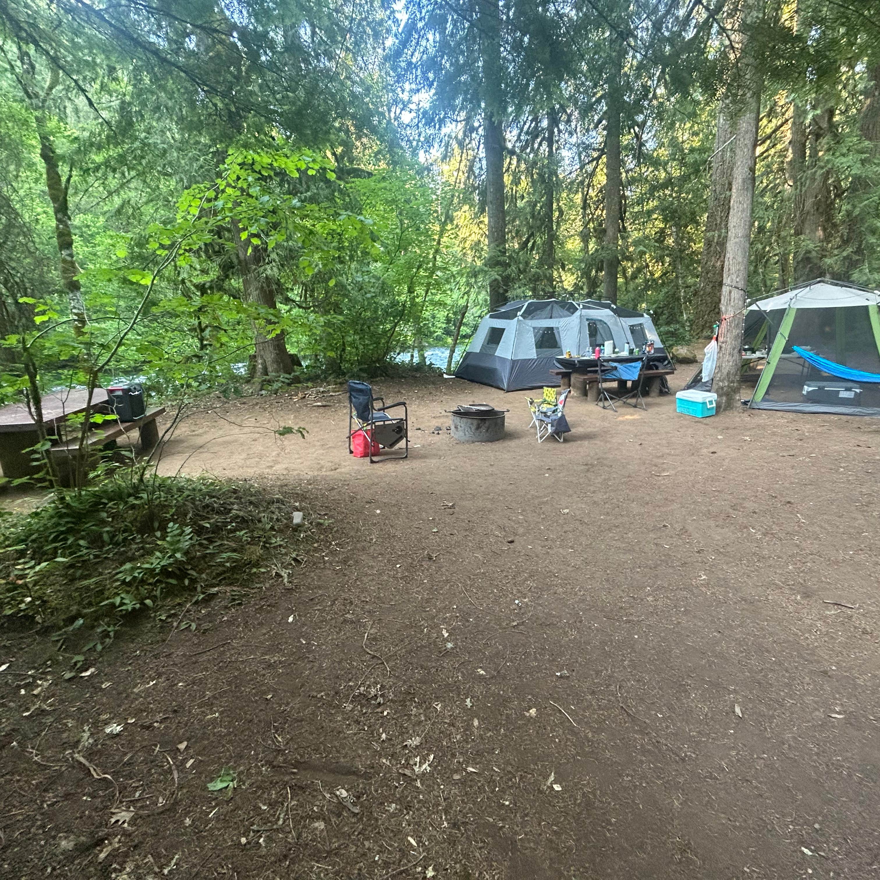 Paradise In Oregon Camping | Mckenzie Bridge, Oregon