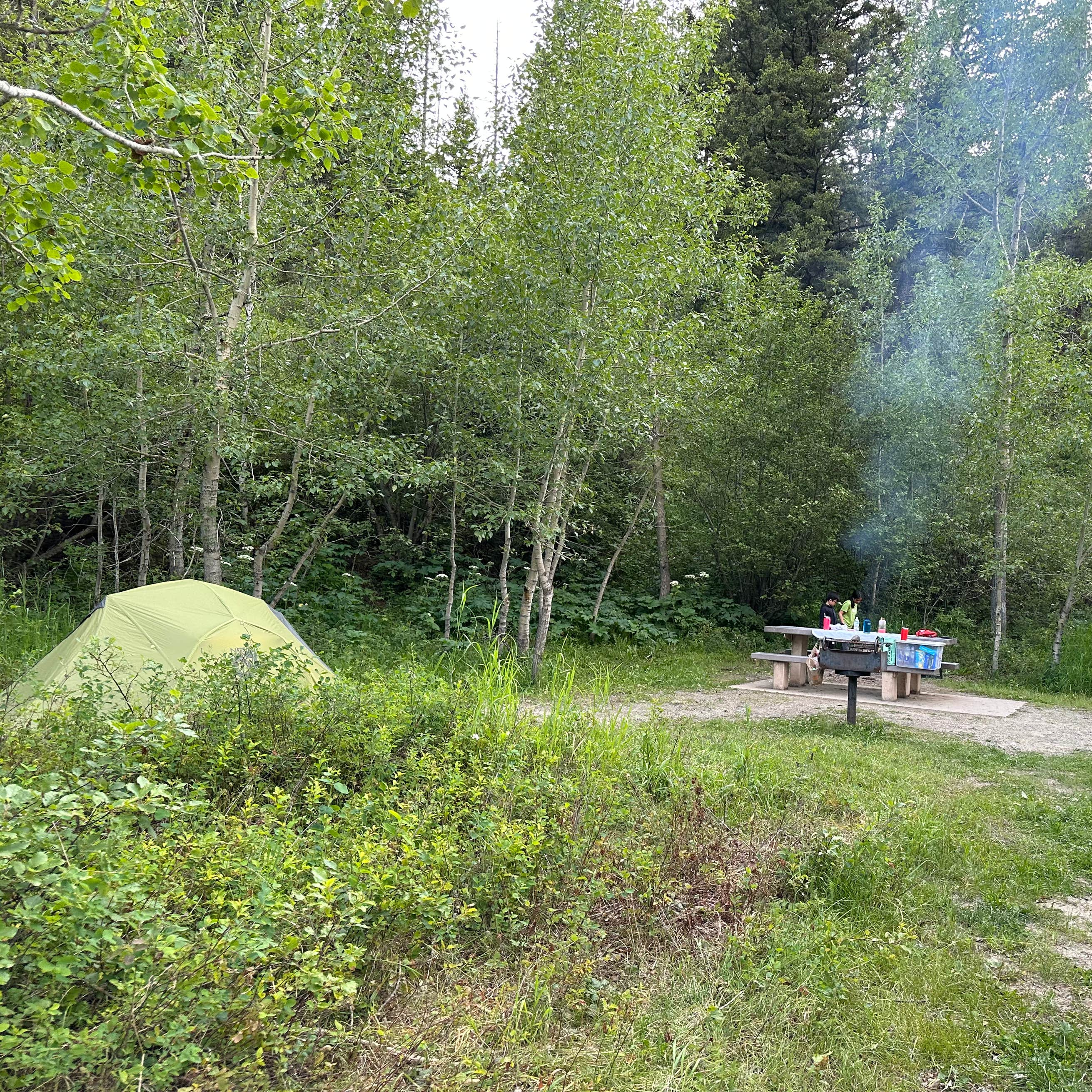 Aspen Campground | Neihart, Montana