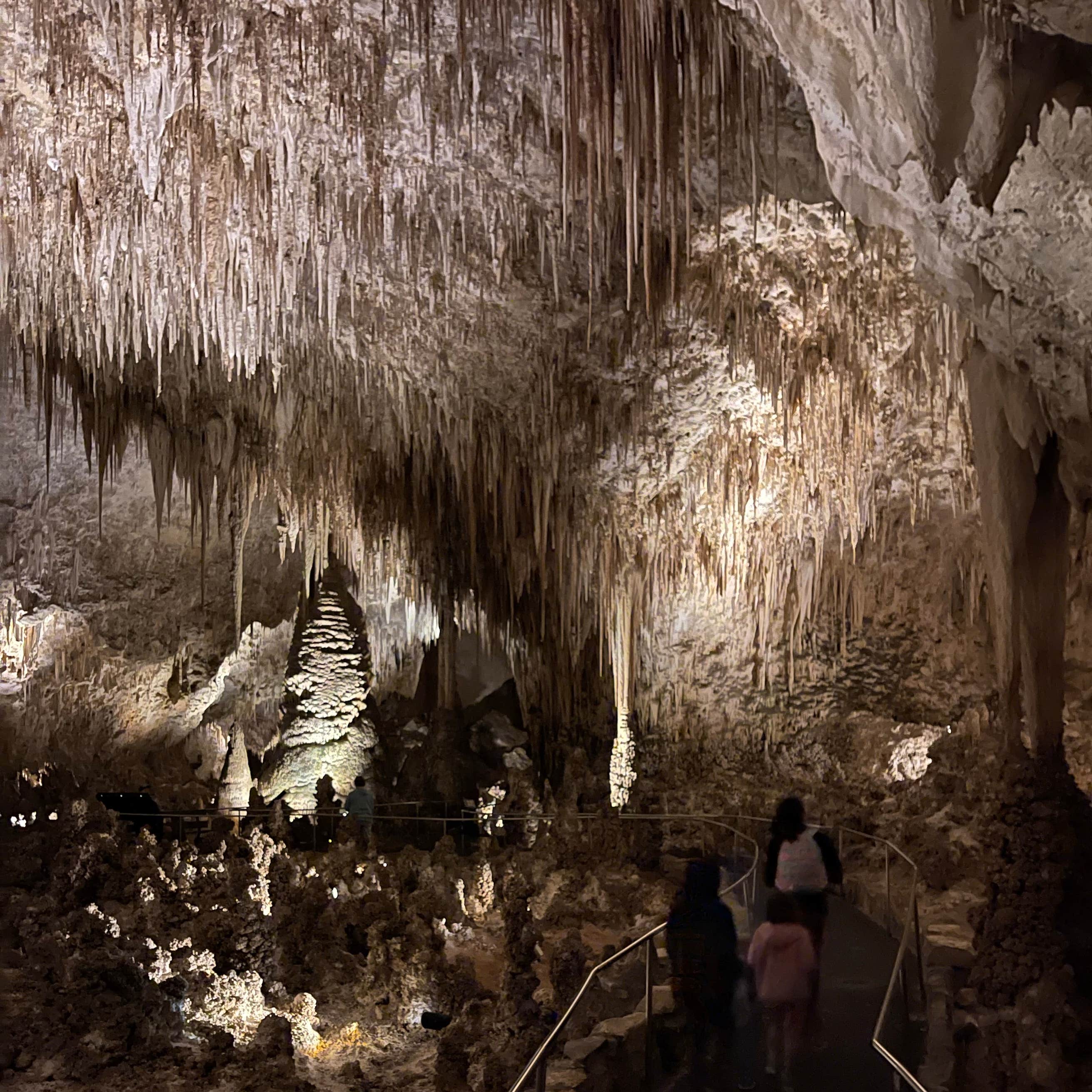 Chosa Campground | Carlsbad, NM