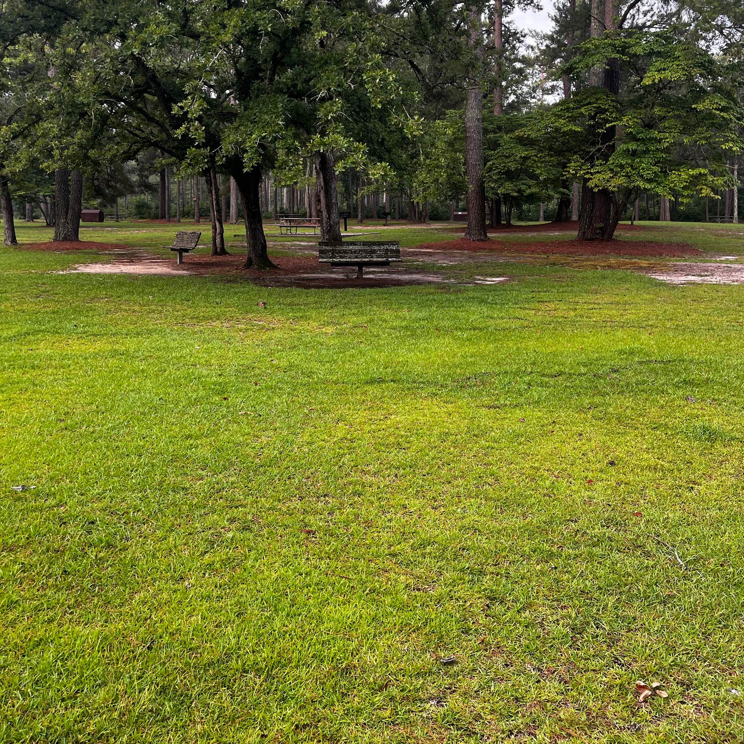 Chalk Banks — Lumber River State Park Camping | Wagram, North Carolina