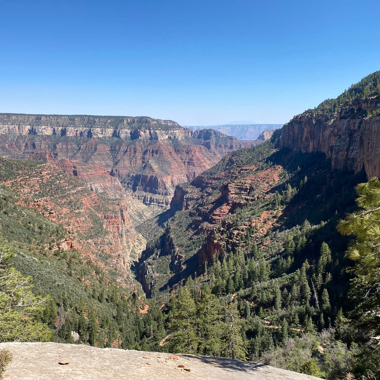North Rim Campground — Grand Canyon National Park | North rim, AZ