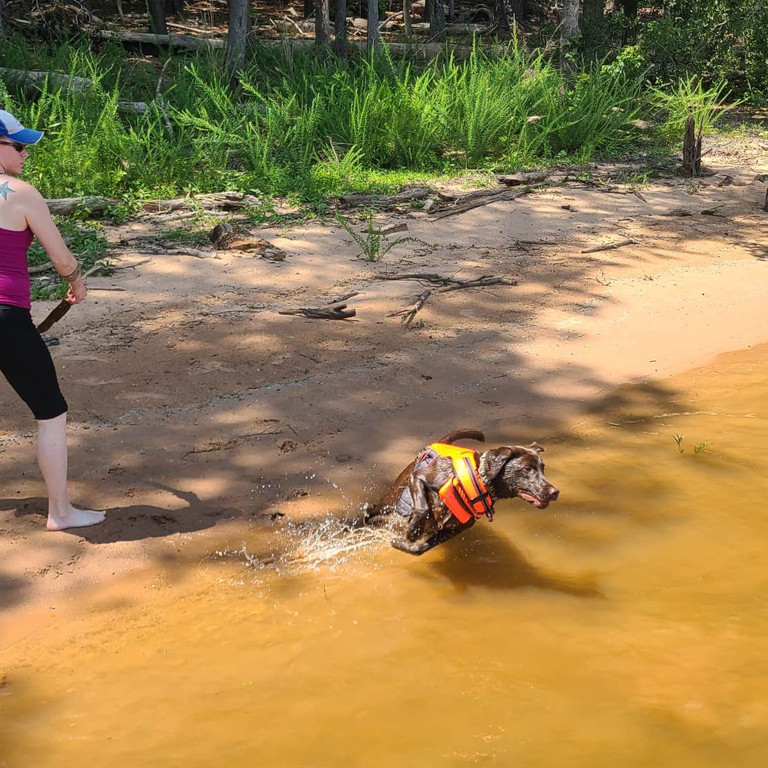 Poplar Point Campground — Jordan Lake State Recreation Area | New Hill ...