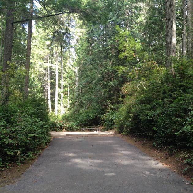 Scenic Beach State Park Camping | The Dyrt