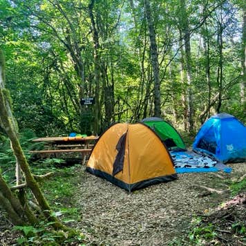 Cedar Groves Rural Campground Camping | The Dyrt