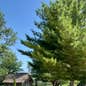 Rustic Barn Campground RV Park | Kieler, WI