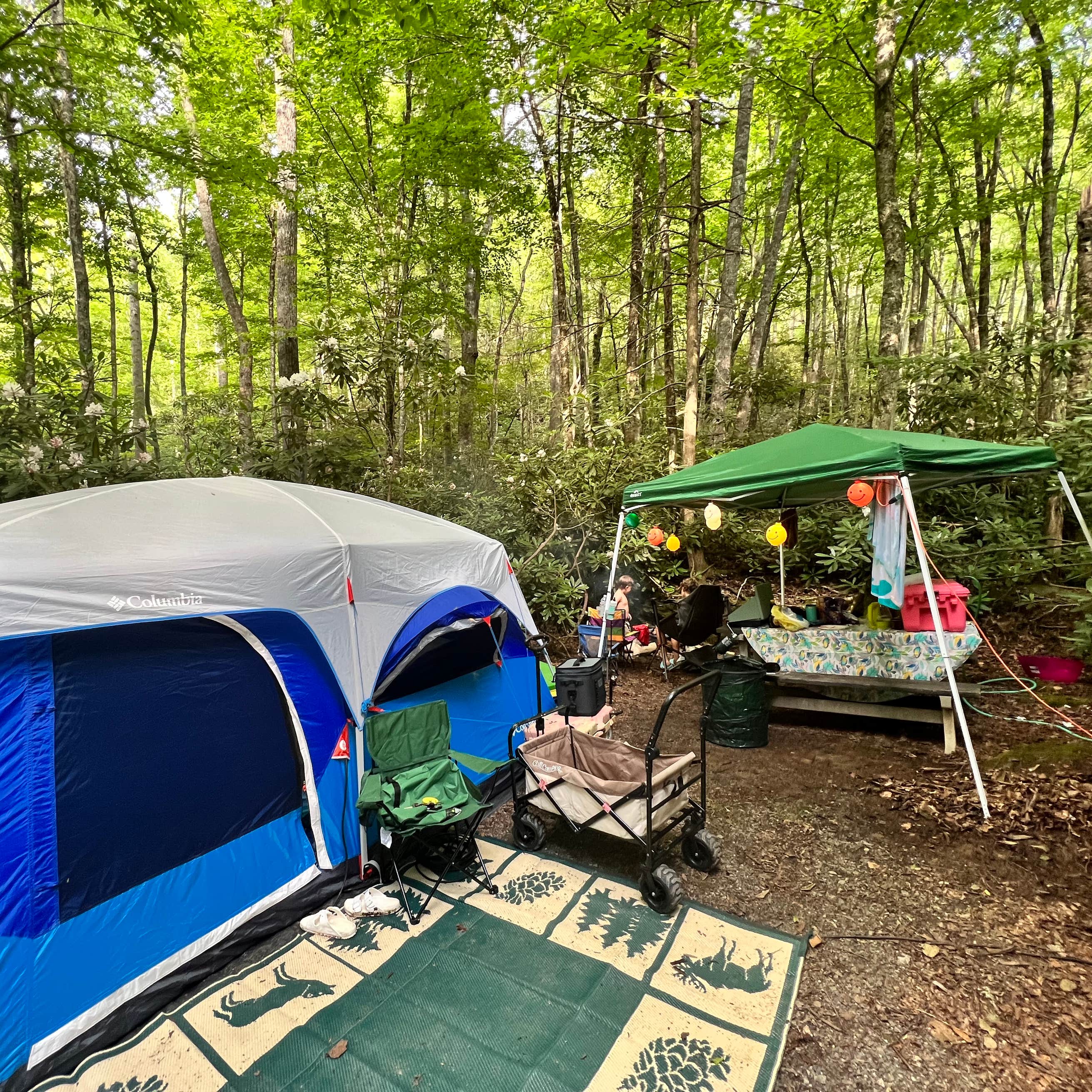 Honey Bear Campground | Boone, North Carolina