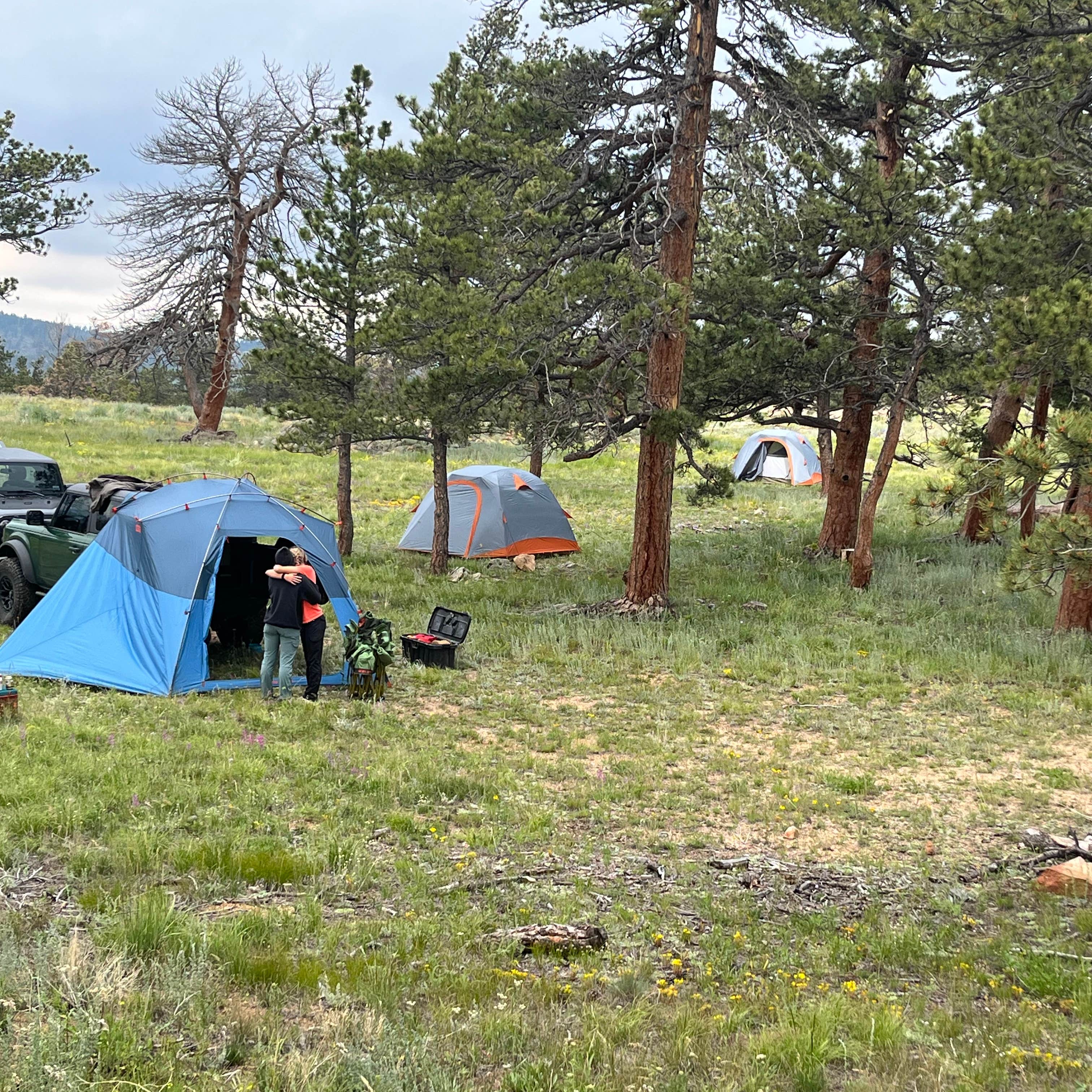 Pingree Hill Dispersed Camping | Red Feather Lakes, Colorado