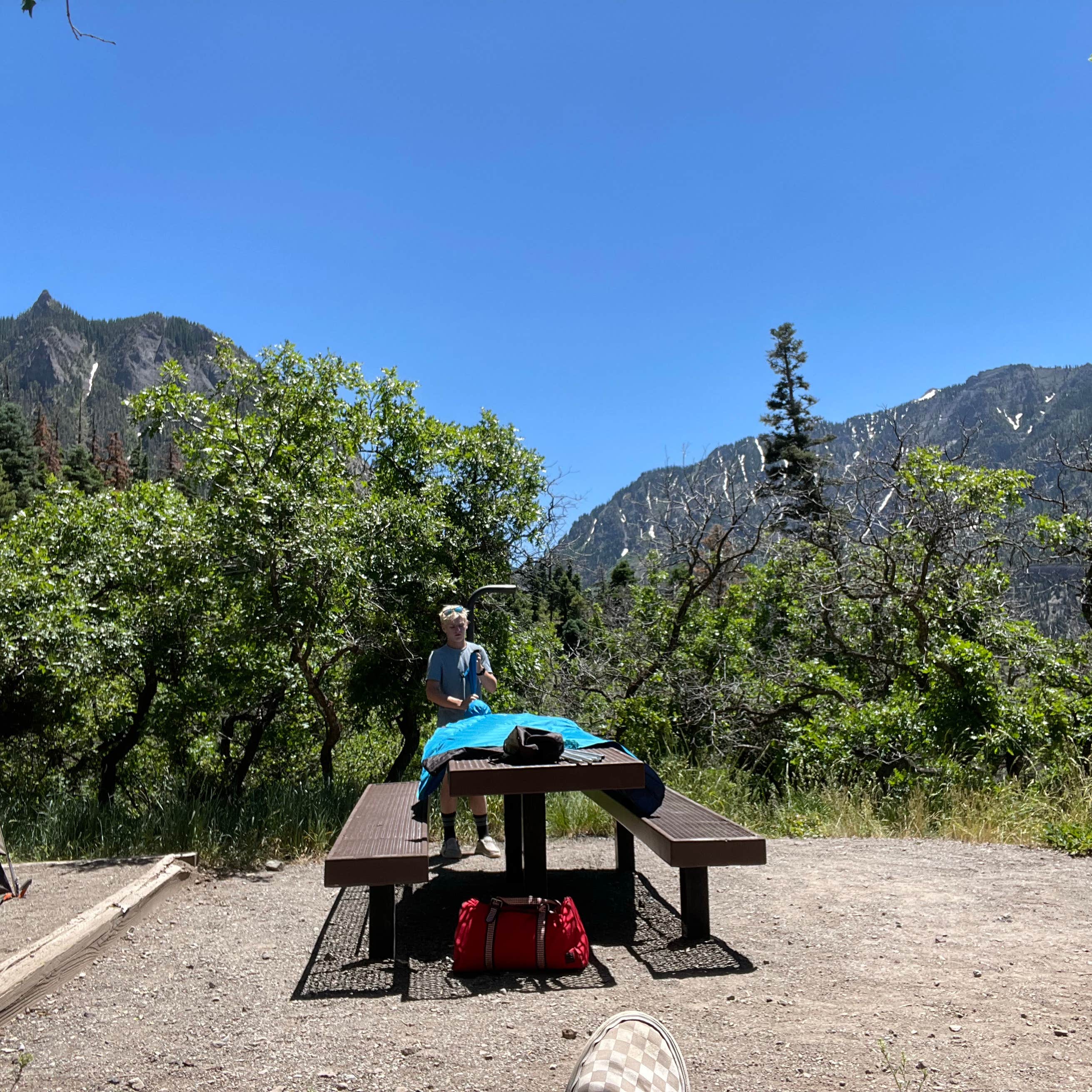 Amphitheater Campground | Ouray, CO