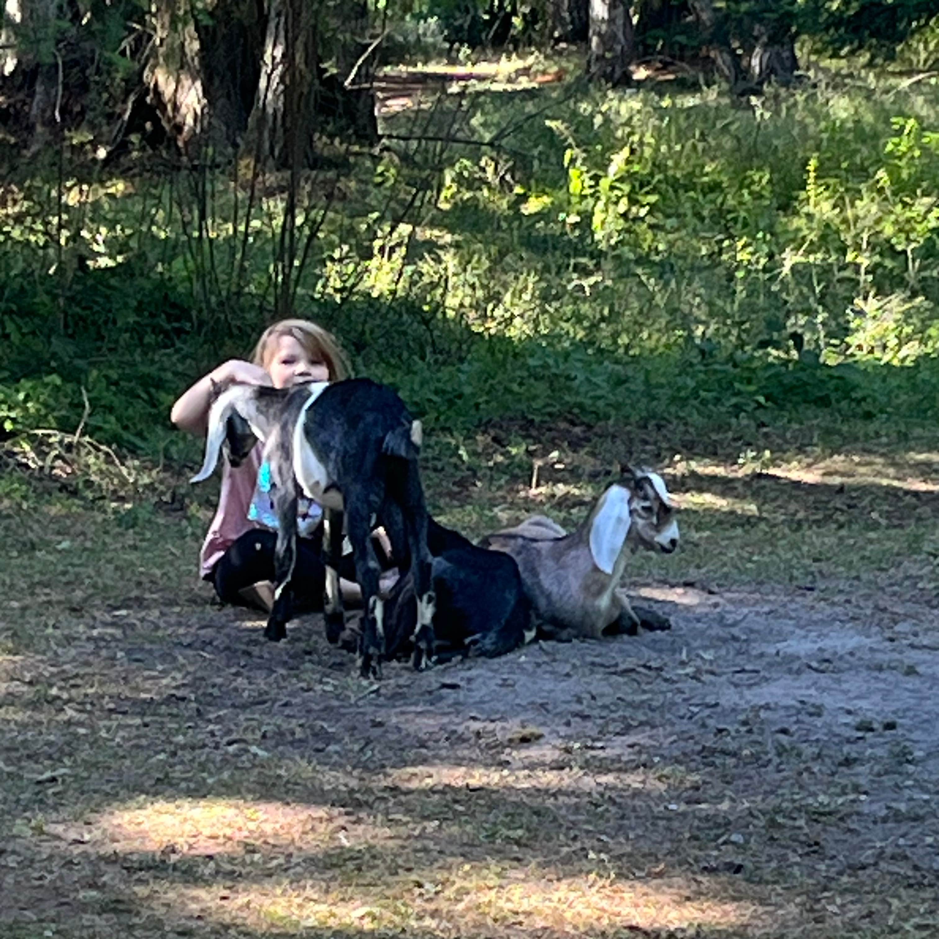 The Healing Farm Camping | Yelm, Washington