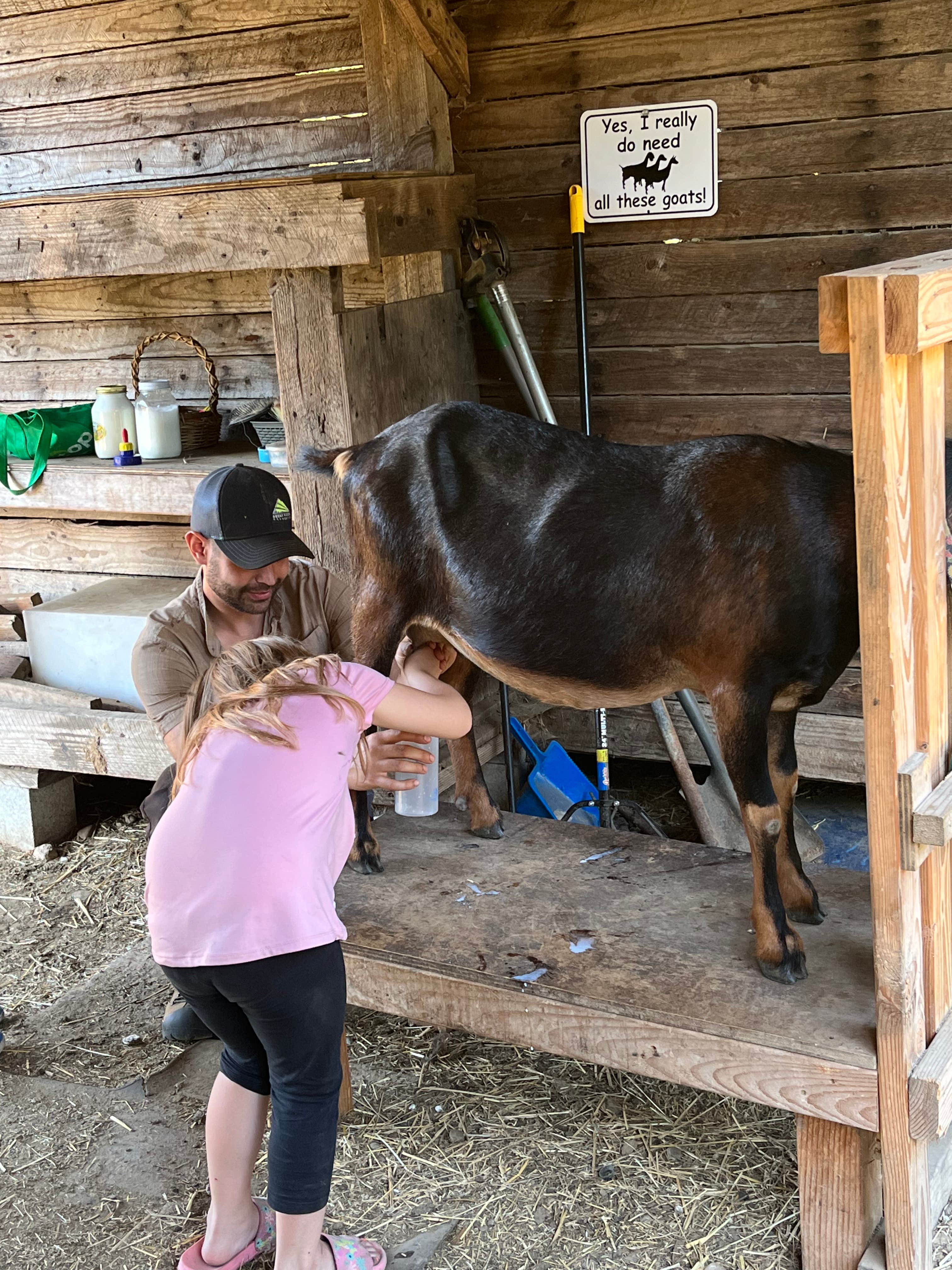 The Healing Farm Camping | Yelm, WA