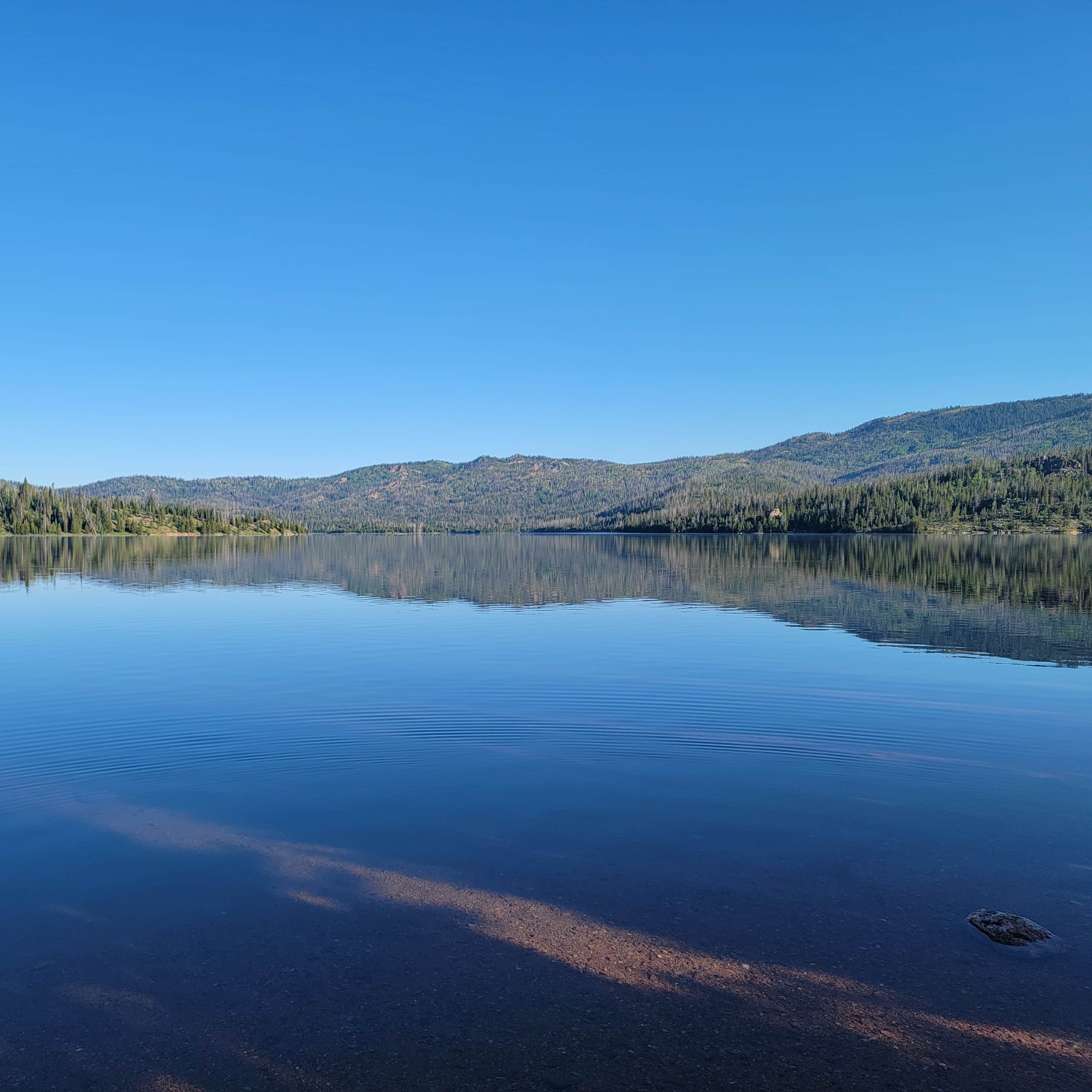Hog Park Campground | Encampment, Wyoming