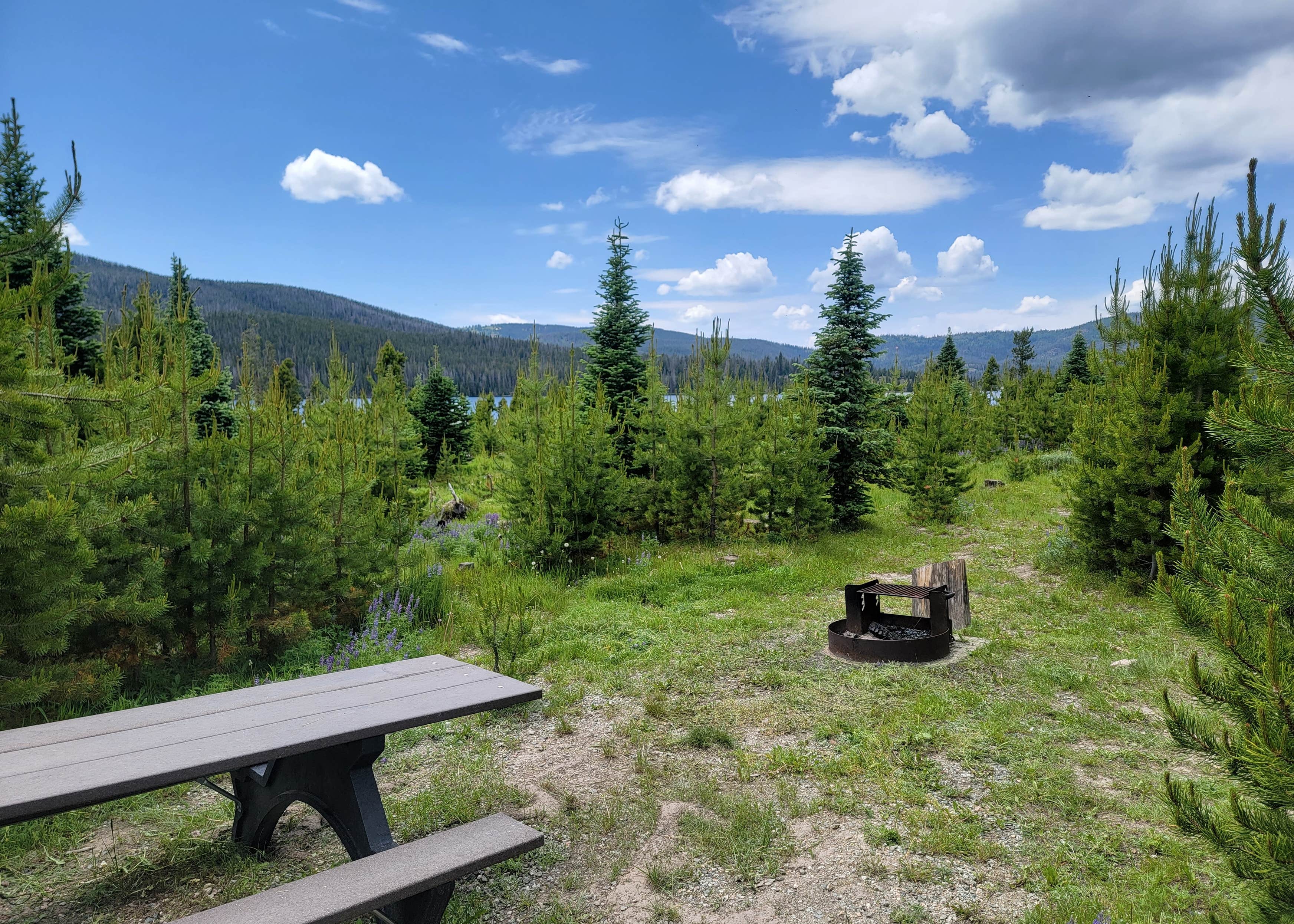 Hog Park Campground Camping | The Dyrt