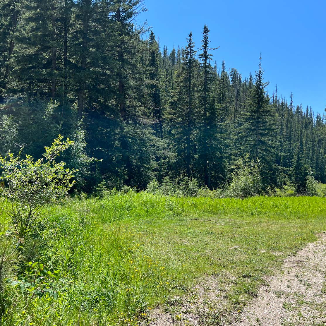 Spring Creek Road Camping | The Dyrt