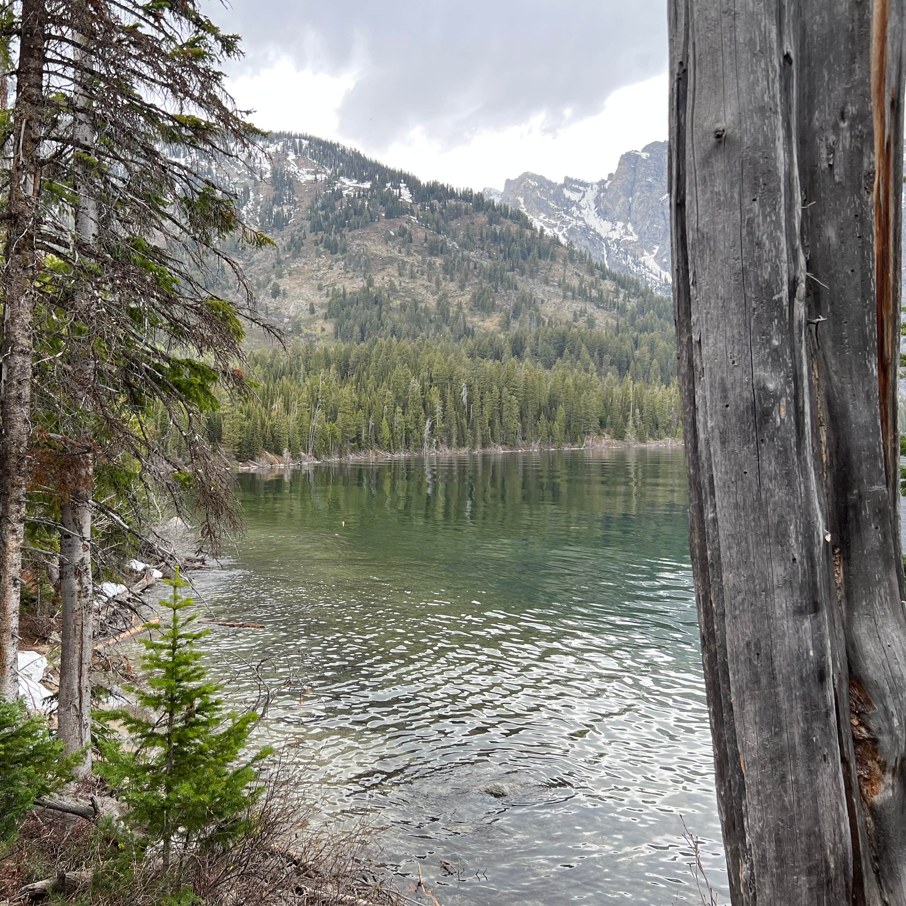 Jenny Lake Campground — Grand Teton National Park | Moose, Wyoming
