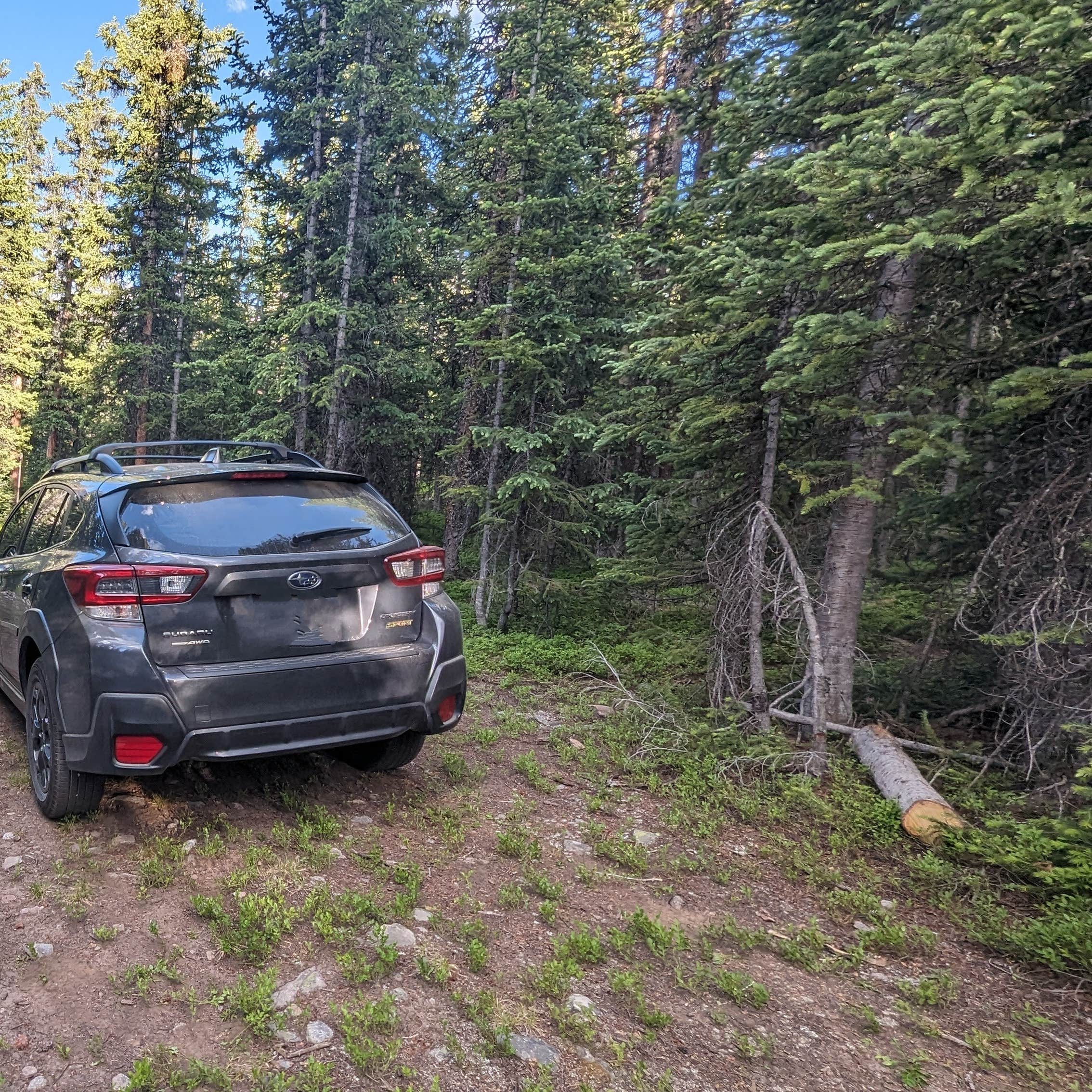 McCullough Gulch Designated Dispersed Camping Camping | The Dyrt