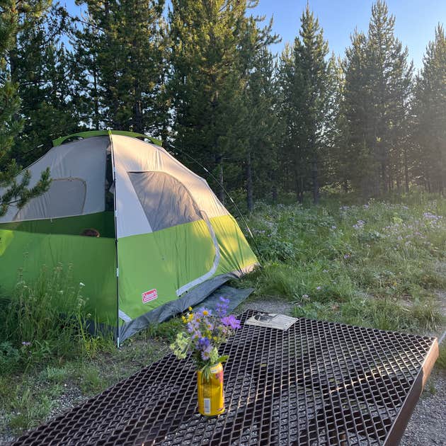 Sheffield Campground | John D. Rockefeller Jr. Memorial Parkway, Wyoming
