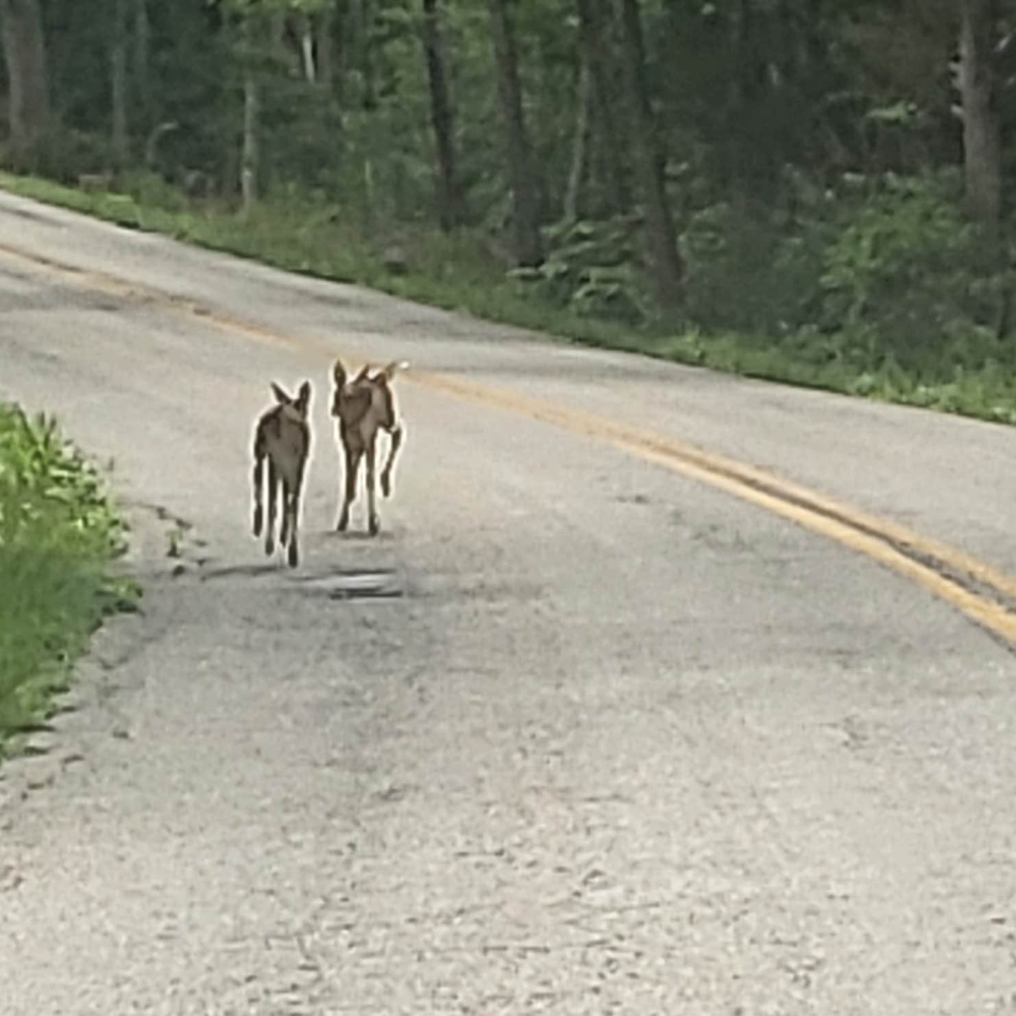 Lago Linda Hideaway Camping | Beattyville, KY