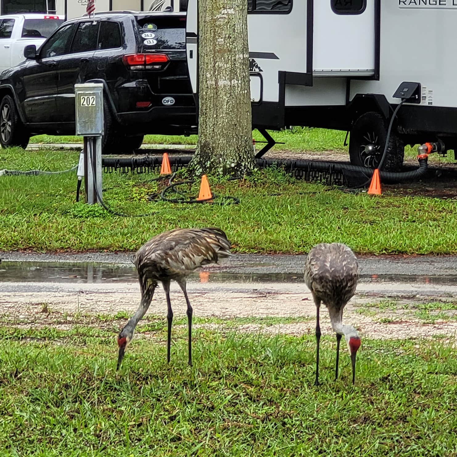 Thousand Trails Three Flags Camping | Wildwood, Florida