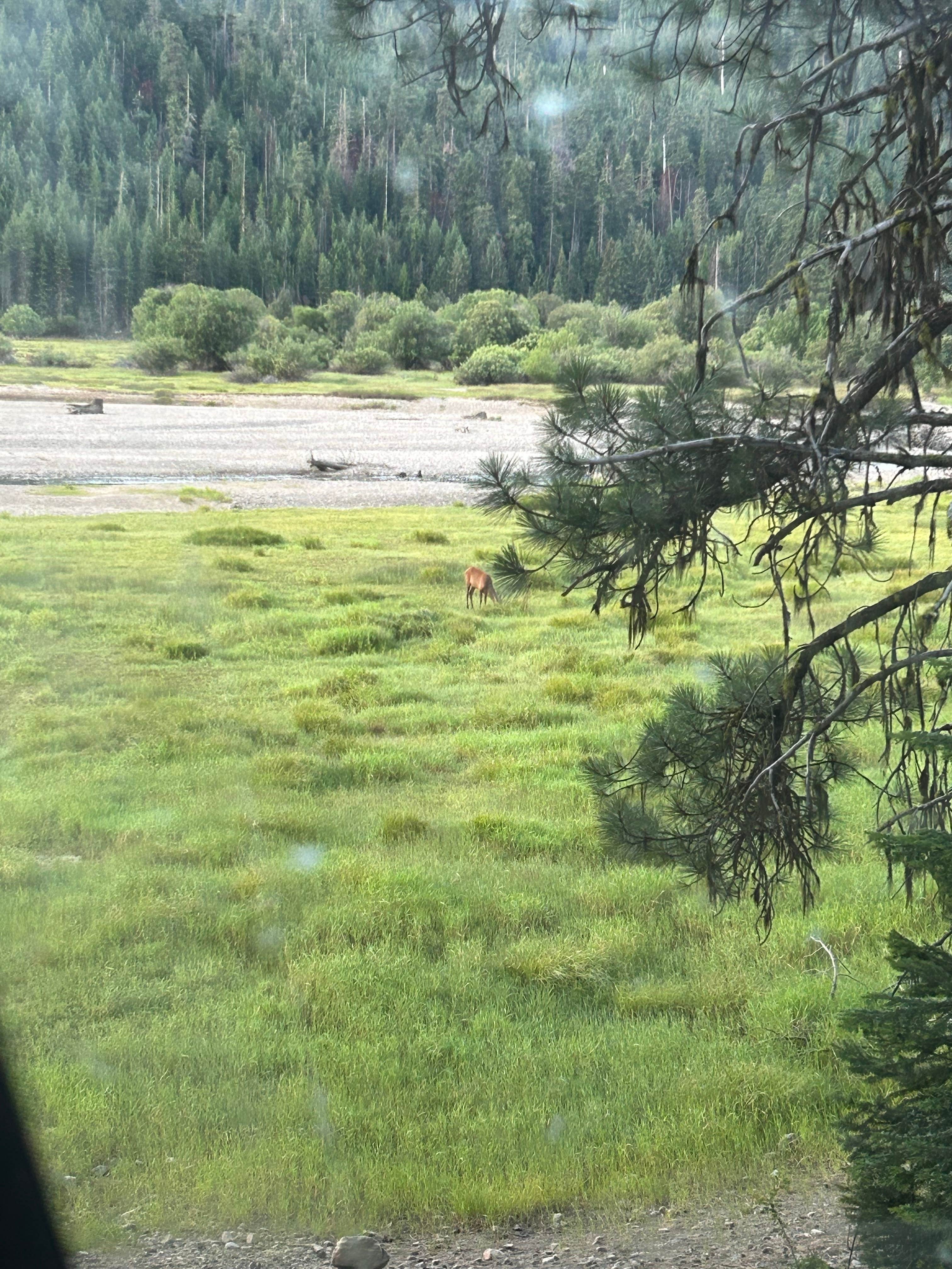 Clear Lake Campgrounds | Goose Prairie, Washington
