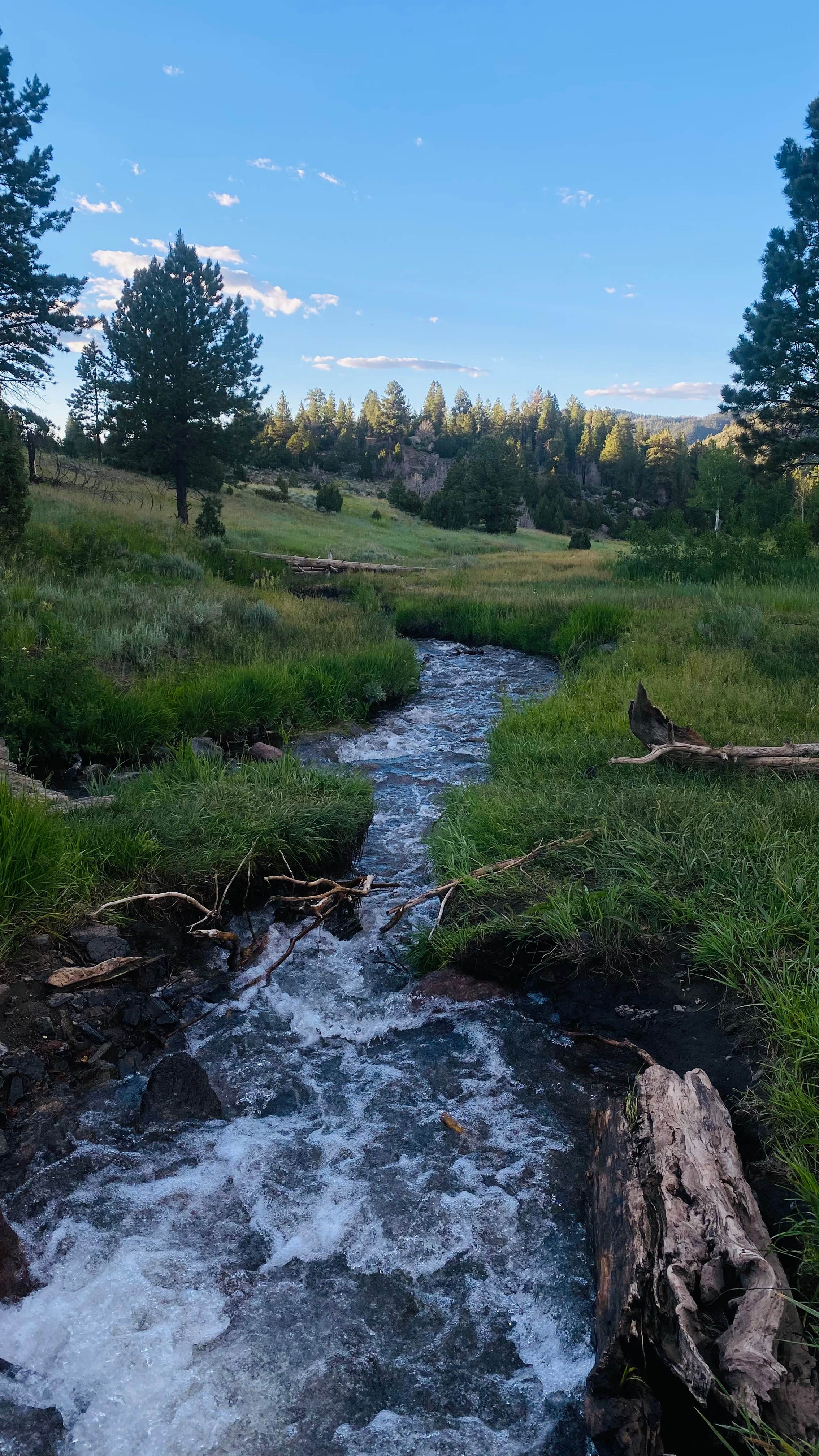 Yankee Meadows Camping | Parowan, Utah