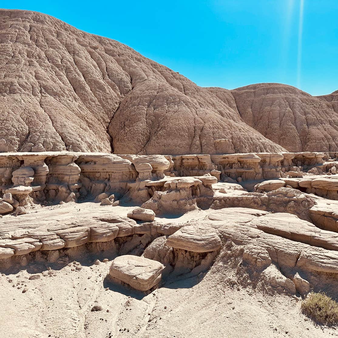 Toadstool (Ne) Nebraska Nf — Nebraska National Forests And Grasslands ...