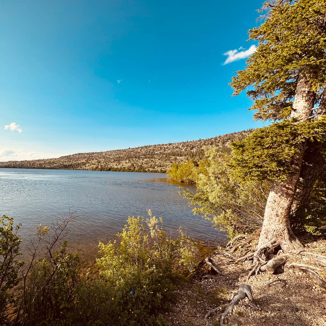 Ring Lake RV and Tent Site | Dubois, Wyoming