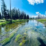 Sheffield Campground | Moran, WY