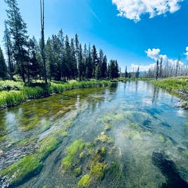 Sheffield Campground | John D. Rockefeller Jr. Memorial Parkway, Wyoming