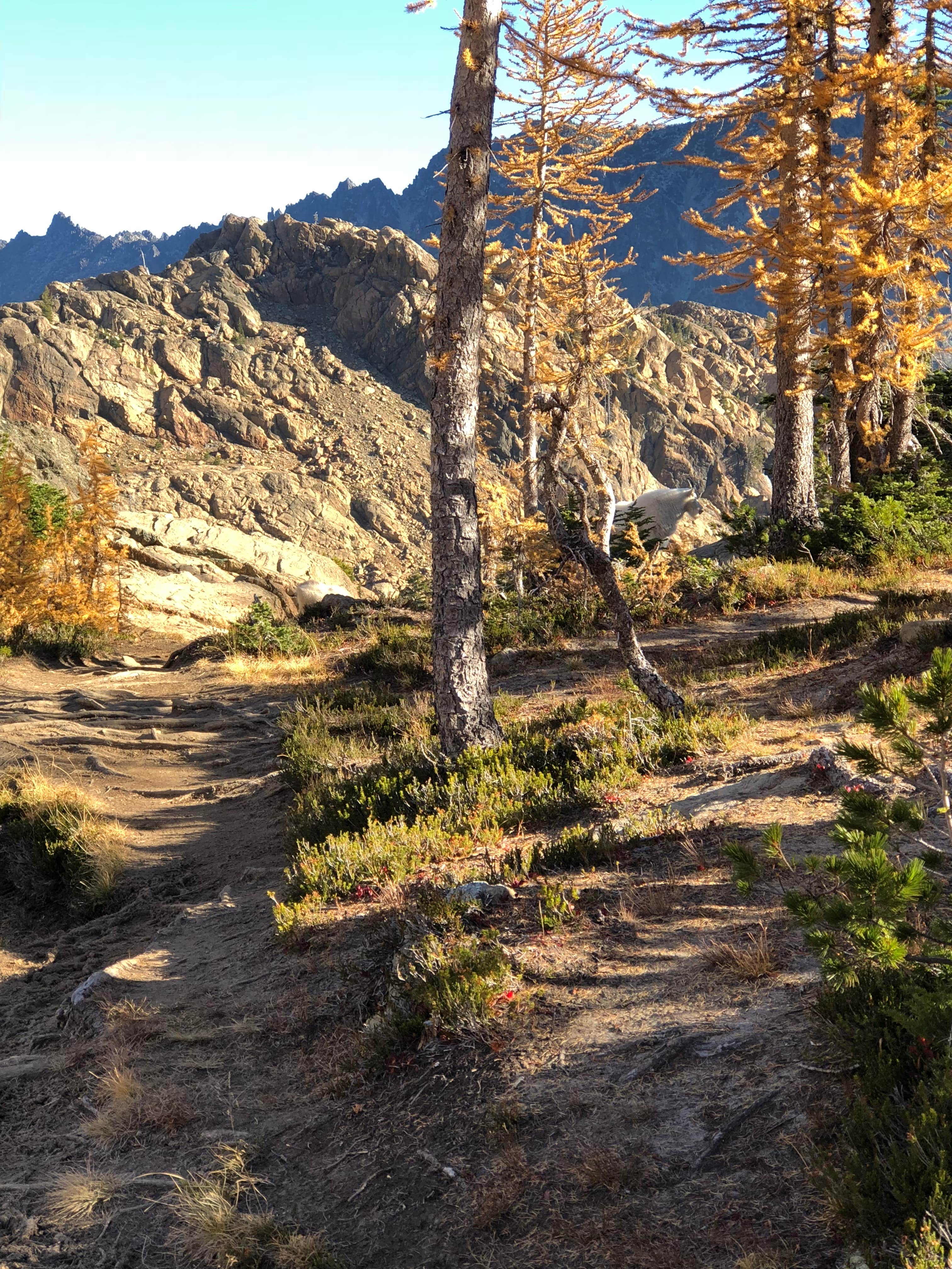 Teanaway Campground | Cle Elum, Washington