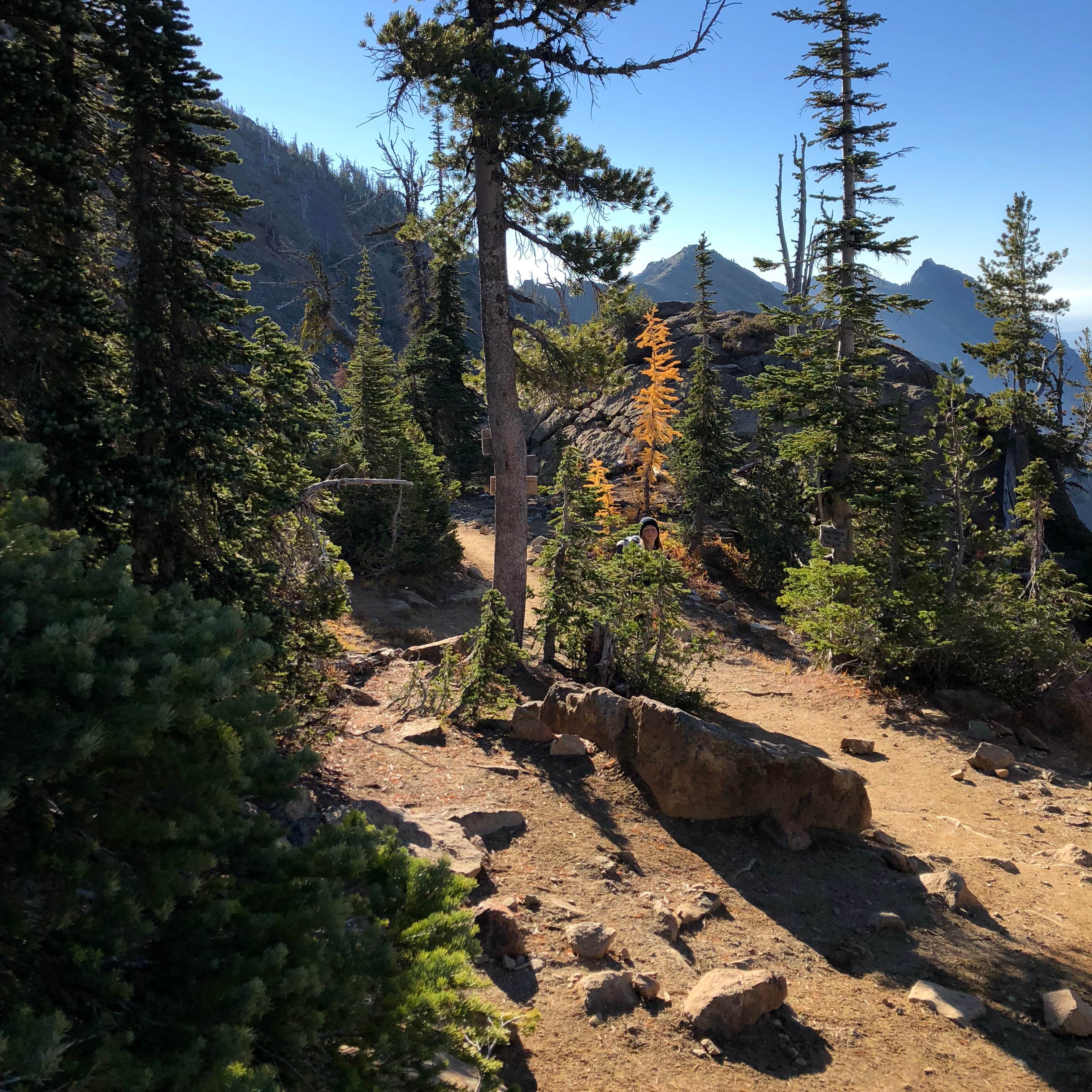 Teanaway Campground Camping | The Dyrt