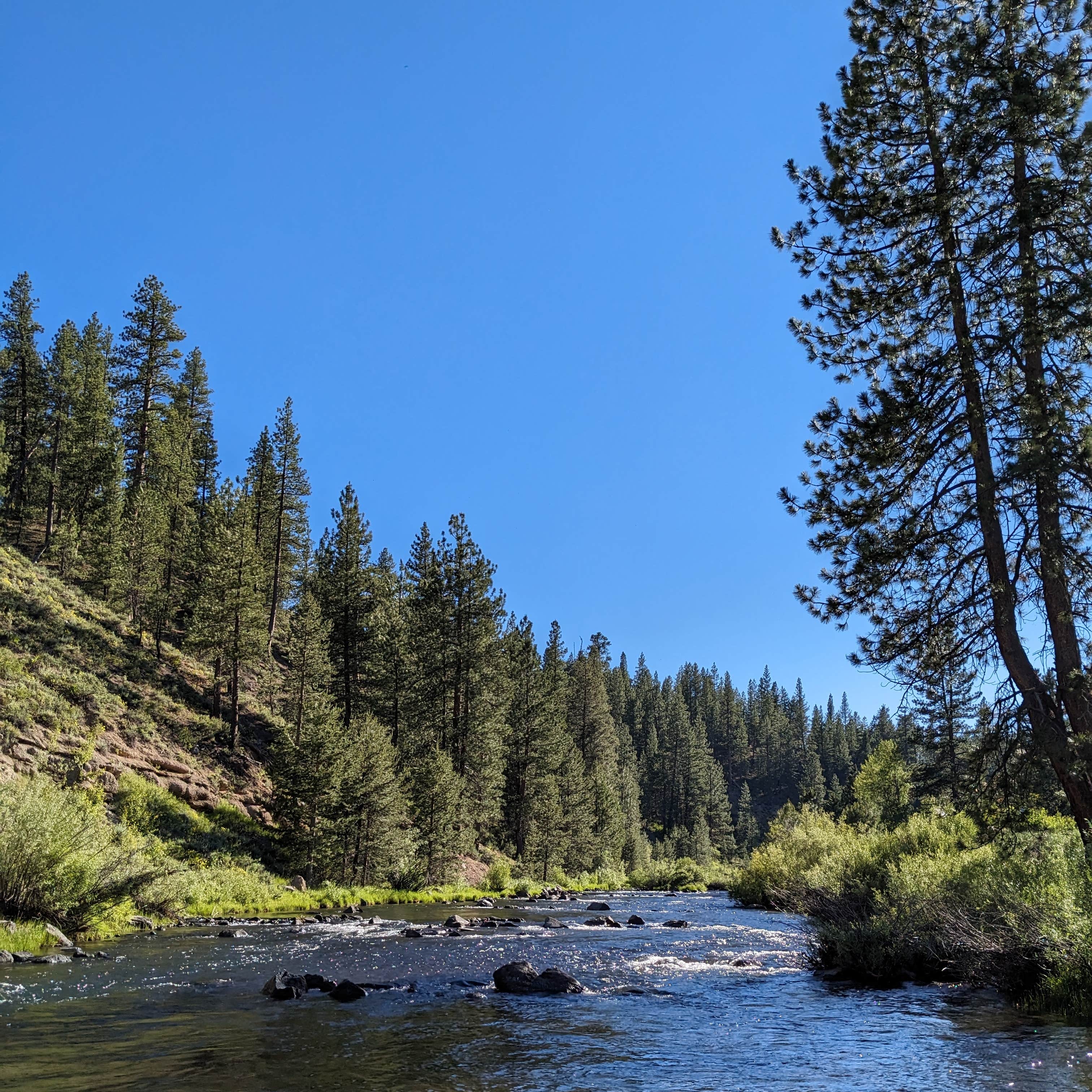 Boyington Mill Camping | Floriston, California