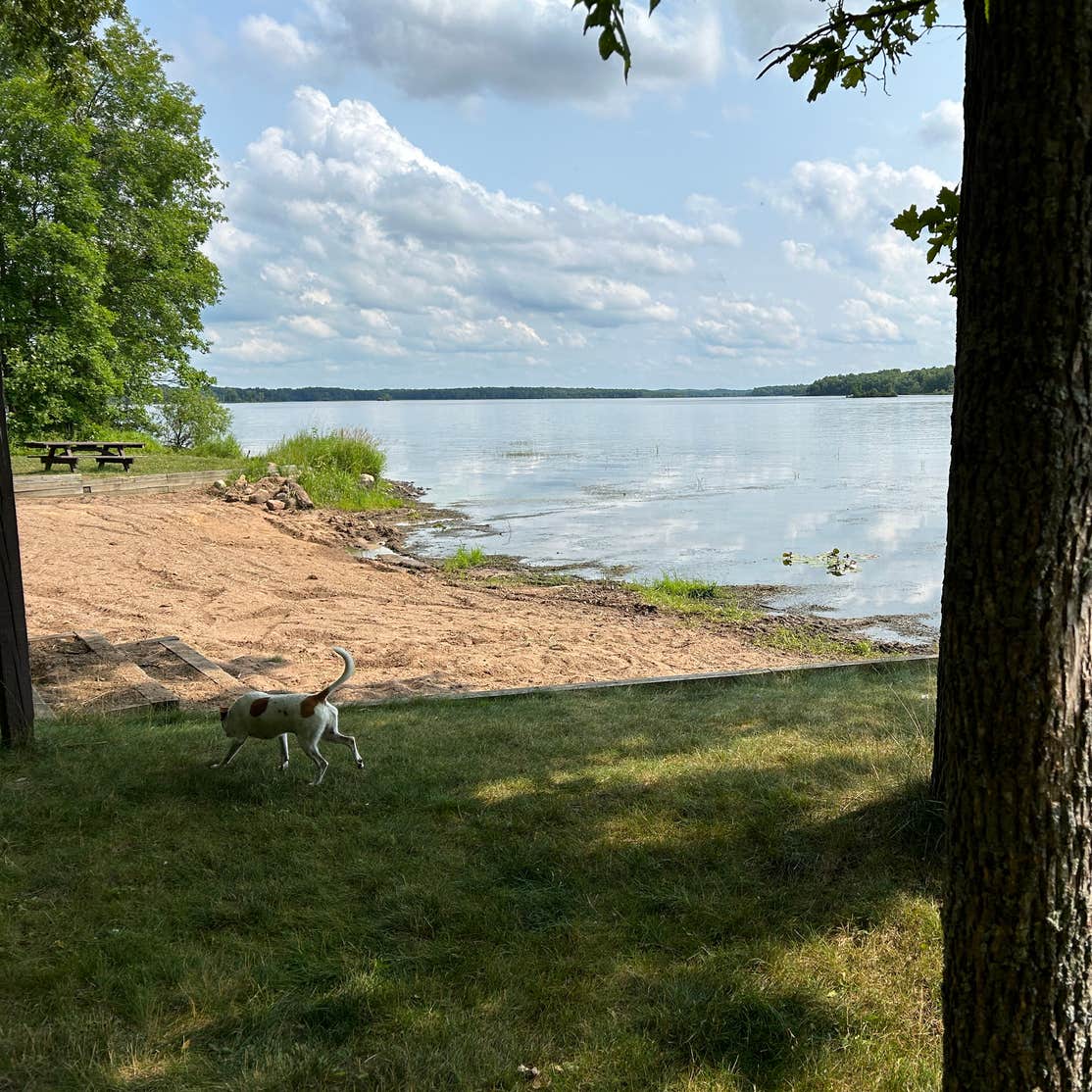 Chippewa NF Campground | Lublin, Wisconsin
