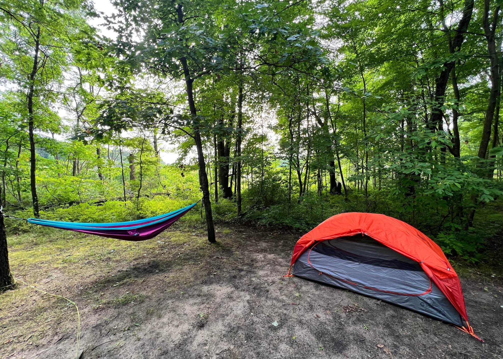 Brighton Recreation Area Camping | The Dyrt