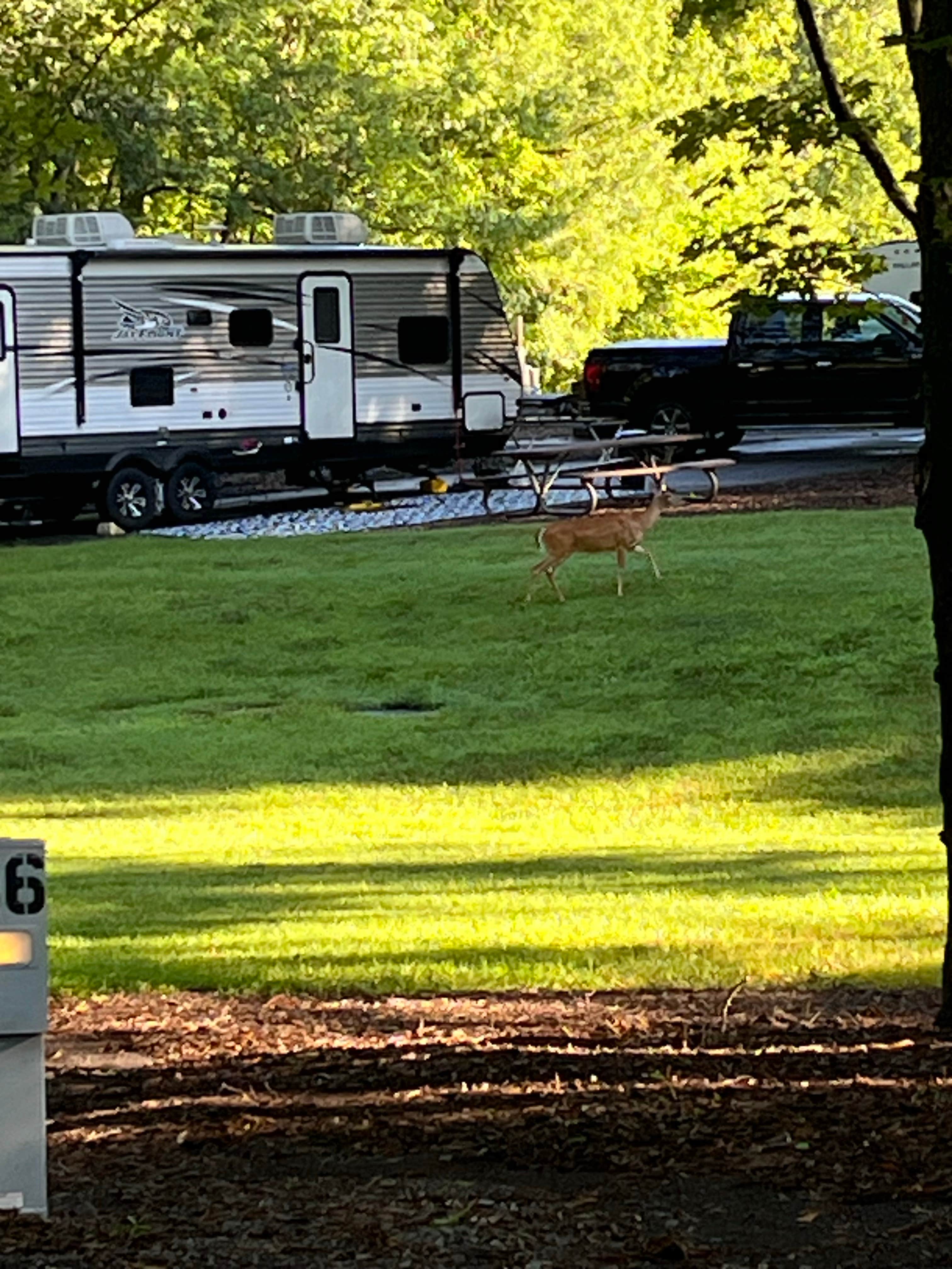 Tanglewood Park Camping | Clemmons, North Carolina