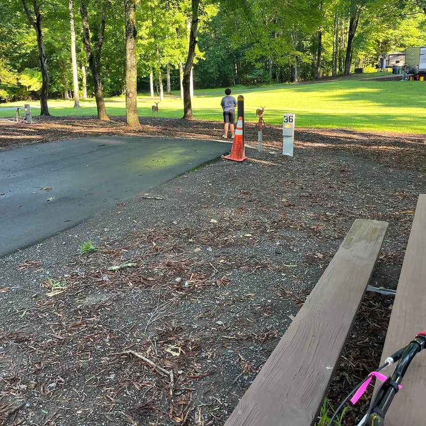 Tanglewood Park Camping | Clemmons, North Carolina