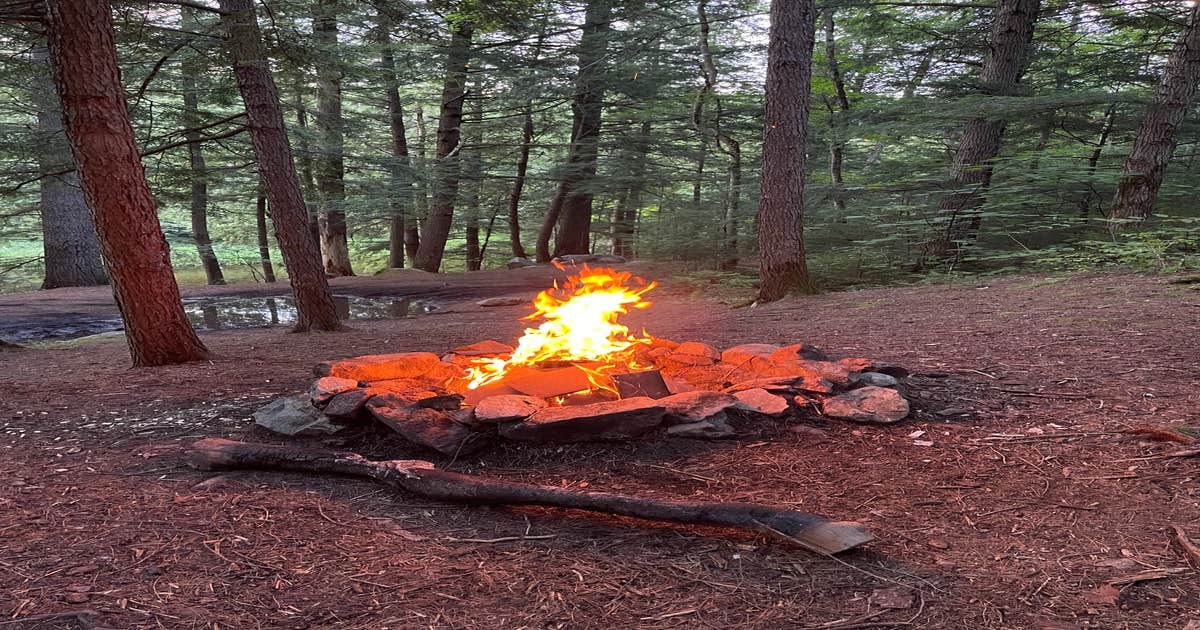 Cod Pond Dispersed Pull-Off Camping | Bakers Mills, New York