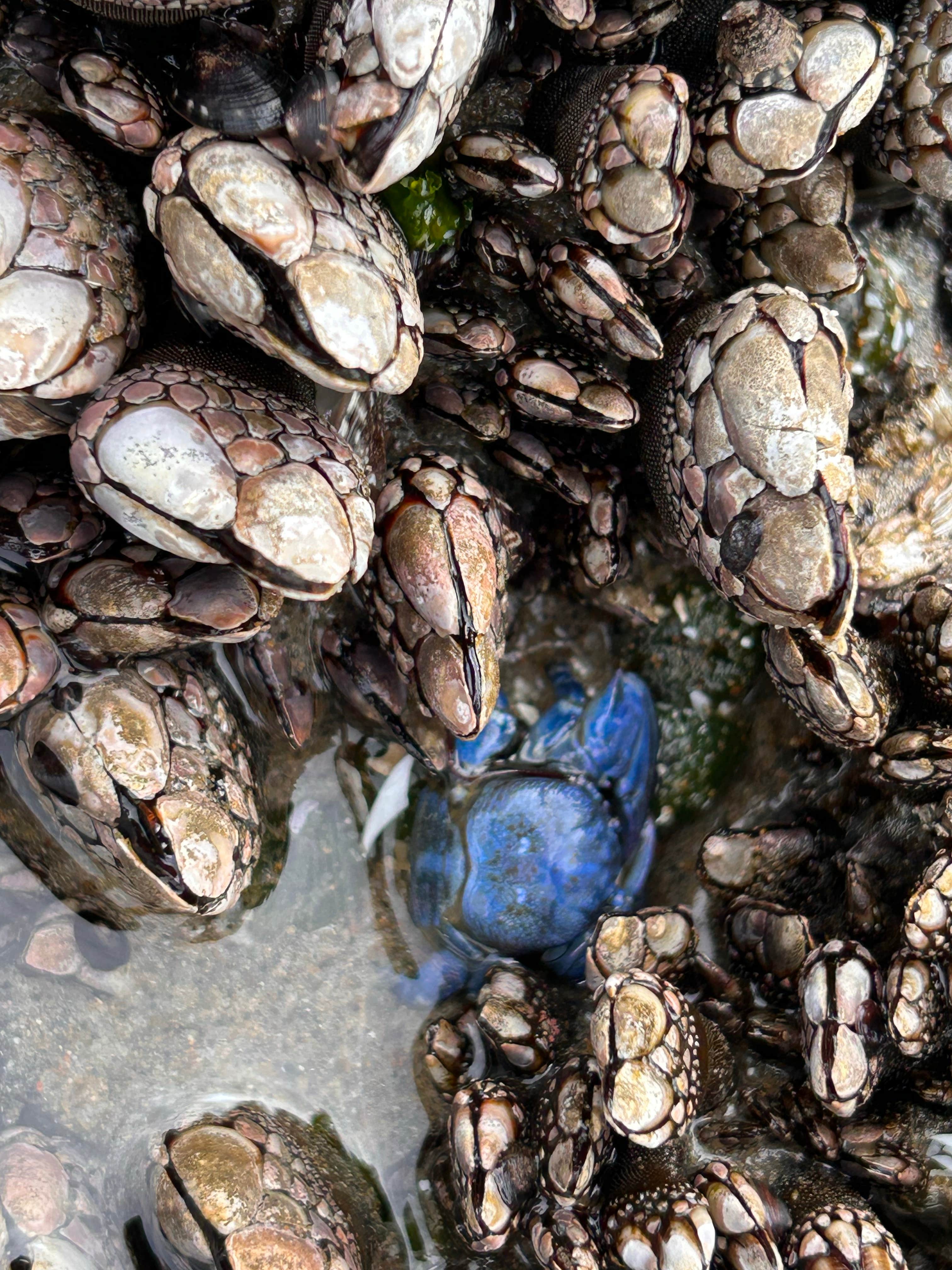 Sea Perch RV Resort | Yachats, Oregon