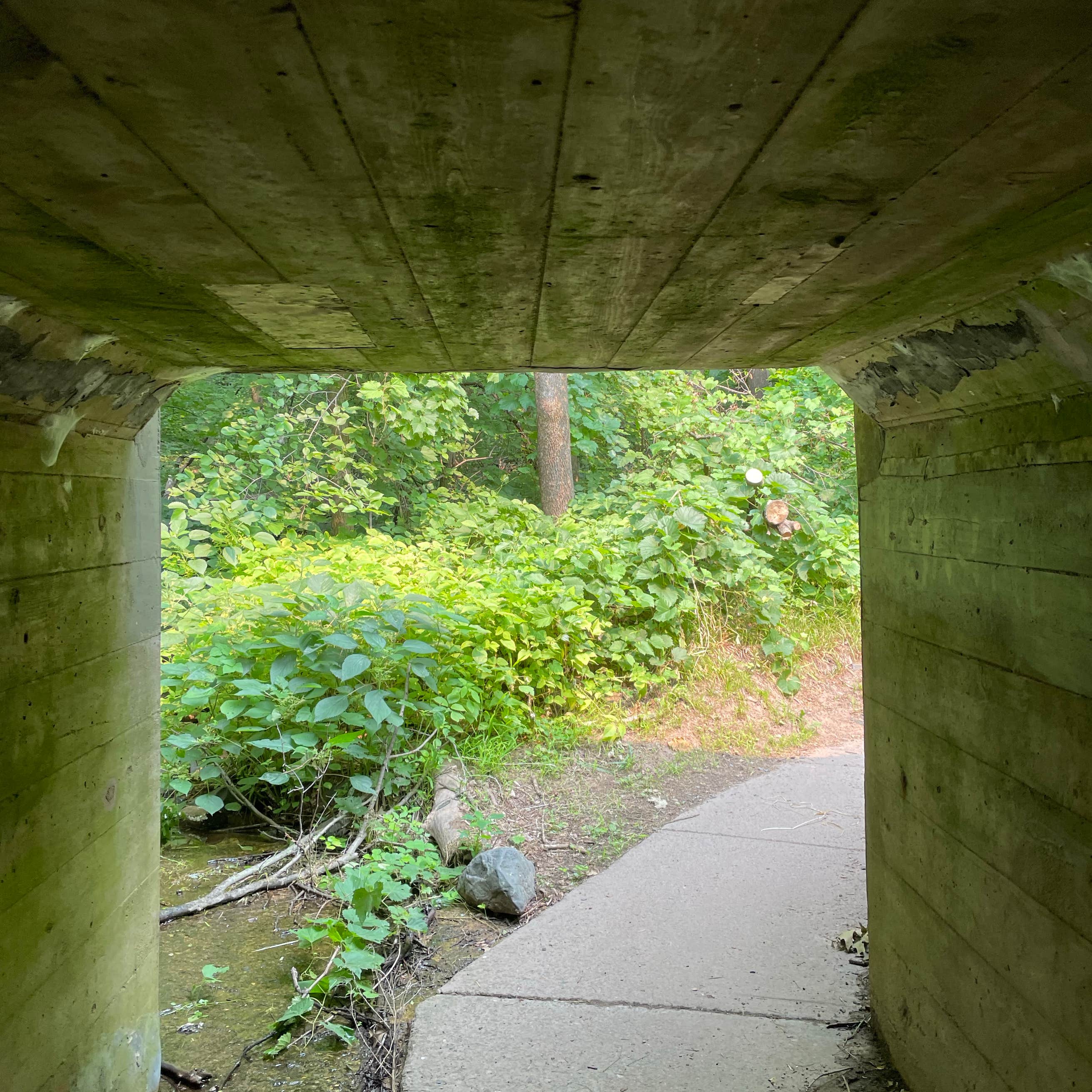 Interstate State Park — Interstate State Park Camping | St. Croix Falls, MN