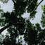 Delta Lake State Park Campground | Westernville, New York