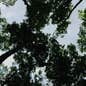 Delta Lake State Park Campground | Westernville, New York