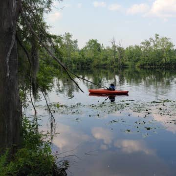 Levy Riceland Farm Camping | The Dyrt