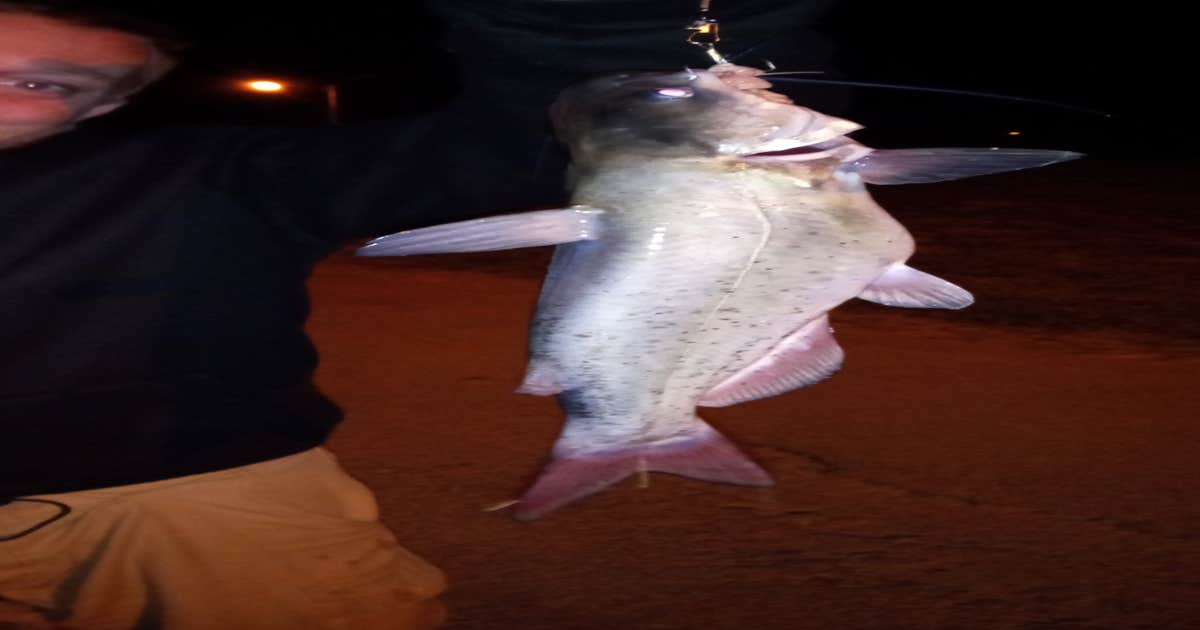 Prairie Creek Reservoir Camping | Selma, IN