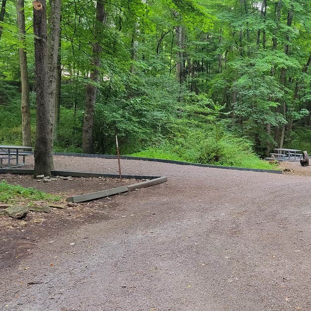Mill Run Recreation Area Camping | The Dyrt