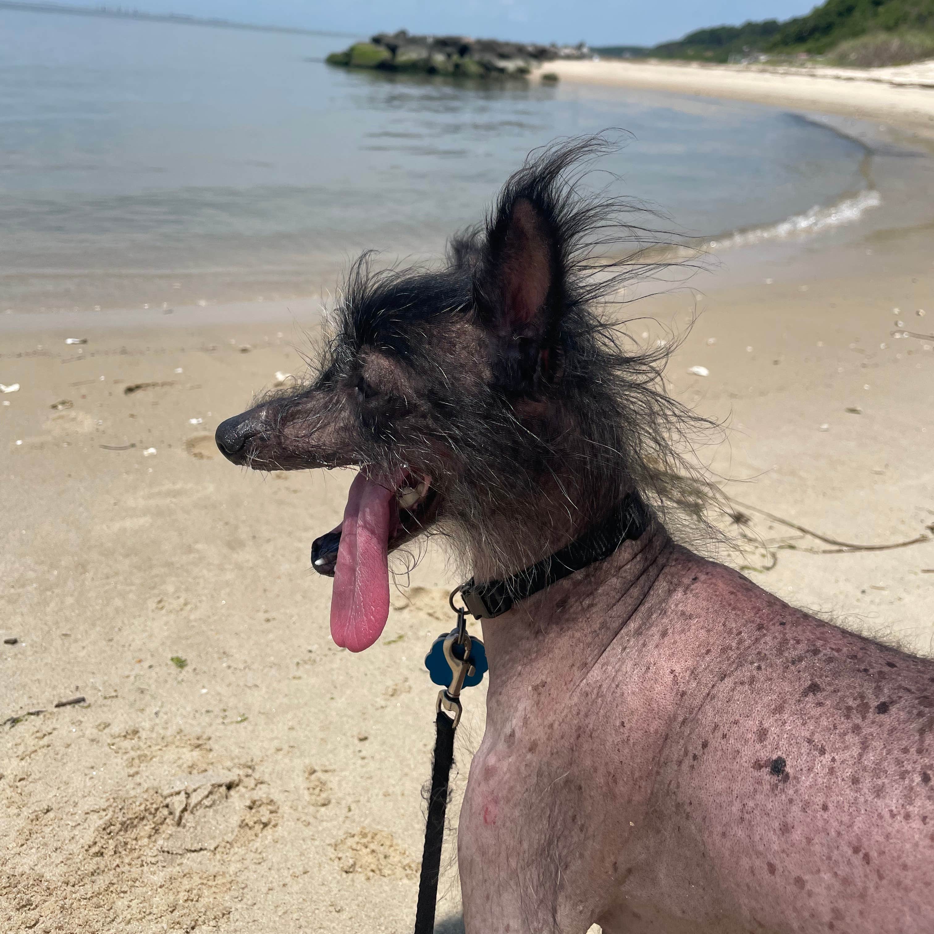 Kiptopeke State Park Campground | Cape Charles, VA