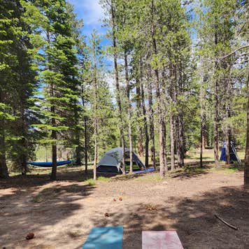 Clark Fork Campground | Bear Valley, California