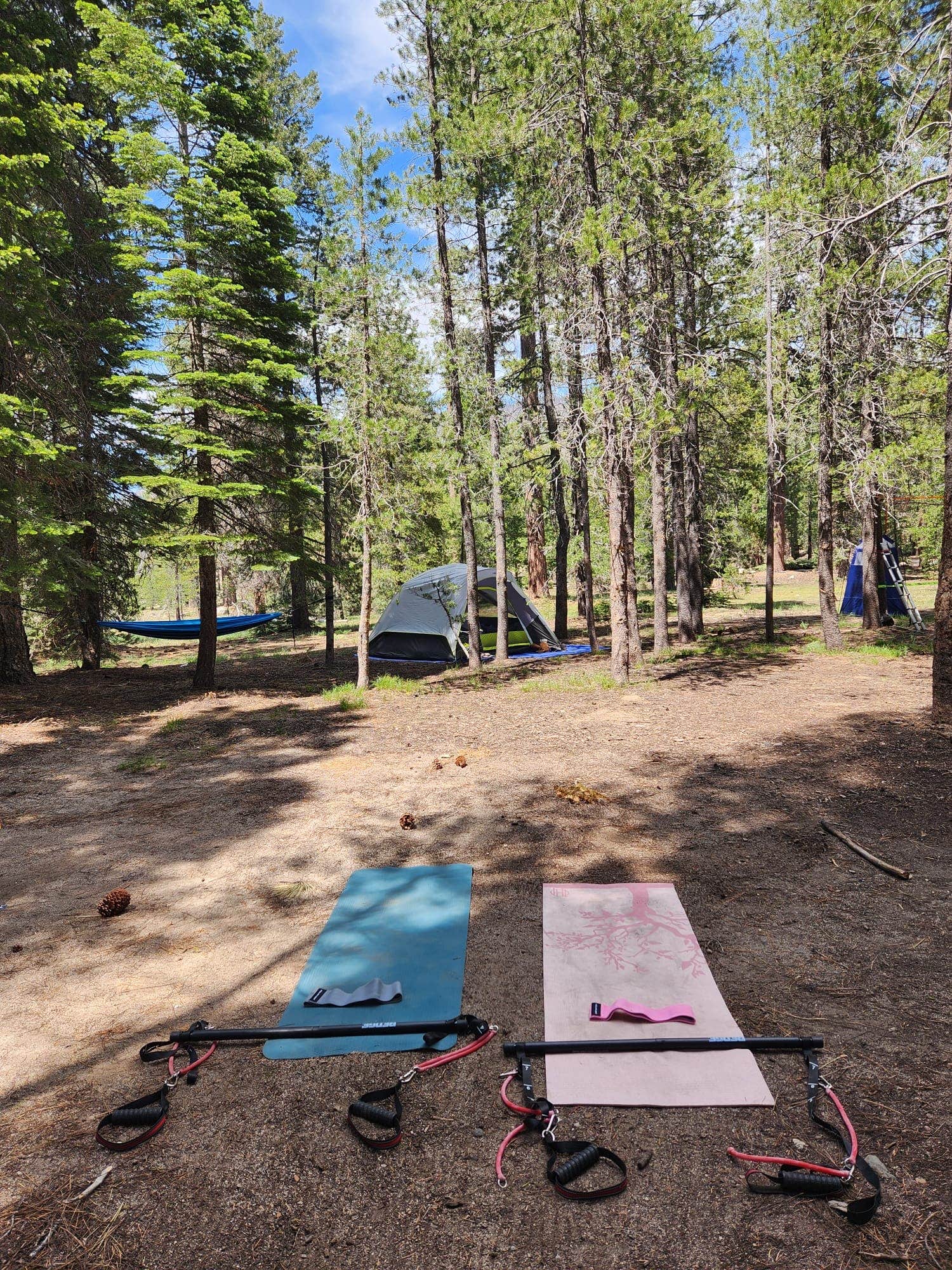 Clark Fork Campground | Bear Valley, California