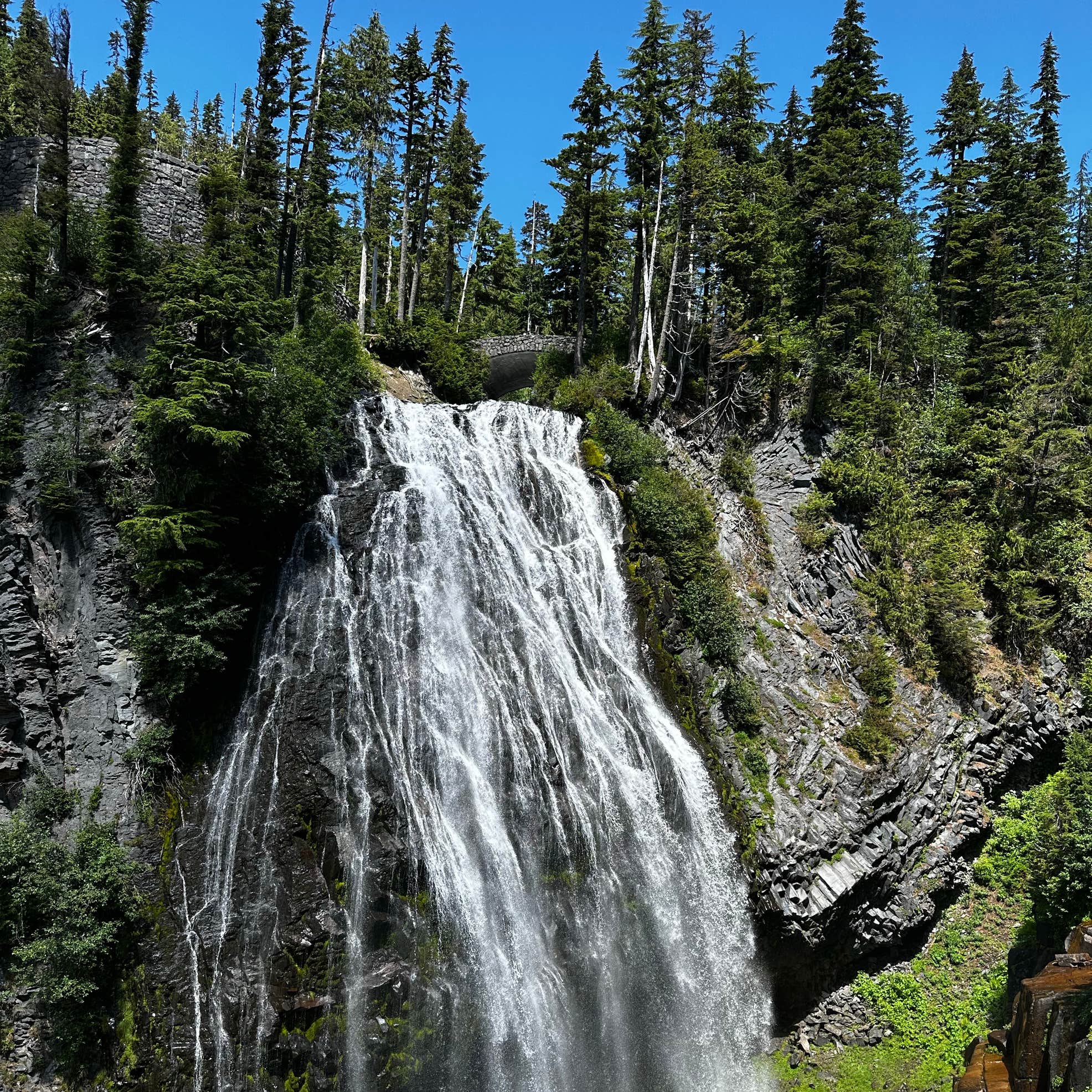 Silver Springs Campground | Greenwater, WA
