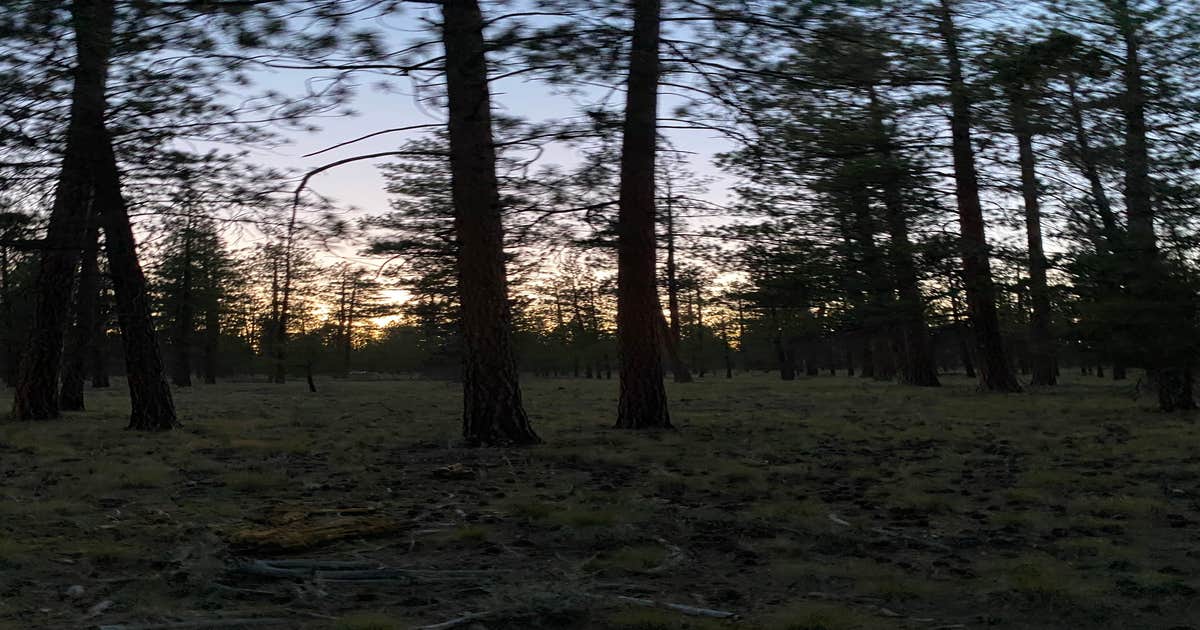 North Sisters Camp on North Pine Street | Sisters, OR